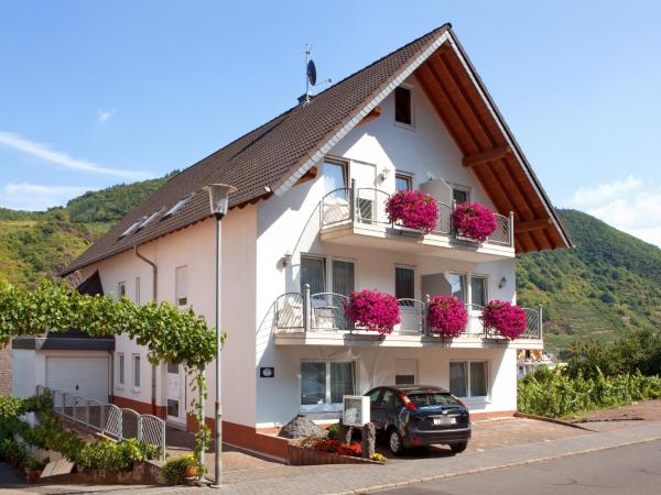 Ferienweingut Klaus Thiesen Gästezimmer Und Apartments - Cochem
