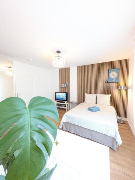 Le Studio Grand'rue - Strasbourg