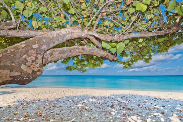 Windsong #2 Beautiful Boggy Sand Beach, Smb - Cayman Islands