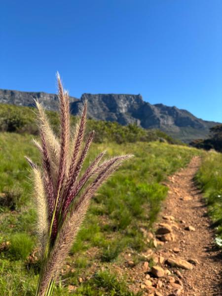 The Mountain Legacy - キャンプス・ベイ