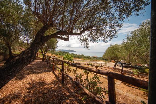Regina Villaggio Camping - Campania