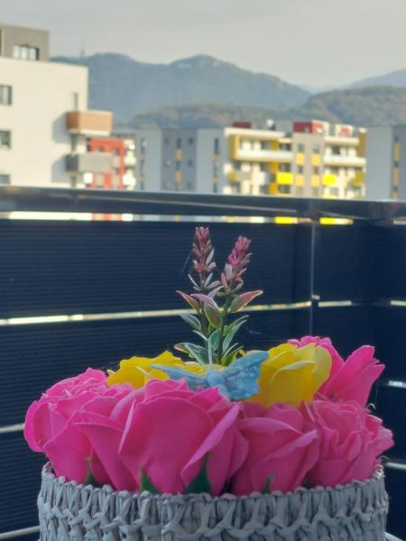 Brasov Altipiani Apartments - Bod