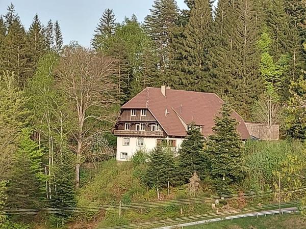 Ferienwohnung Auerhahn - Schiltach