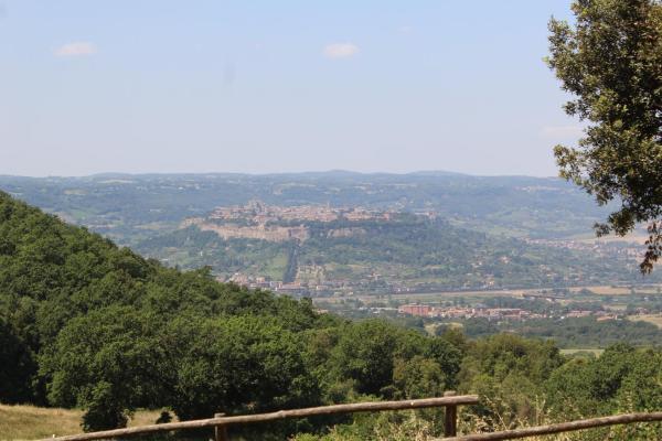 Agriturismo Fattoria Poggio Boalaio - Orvieto