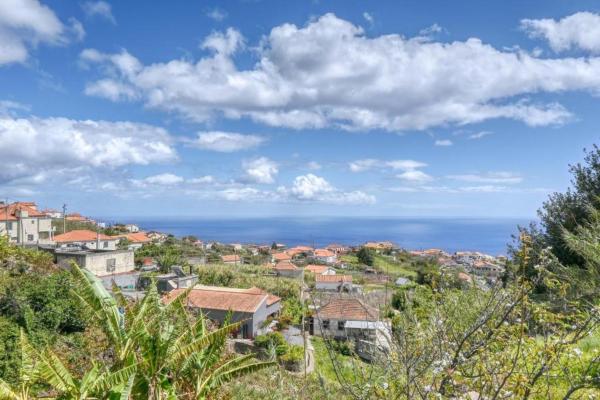 Valley Canhas I - Ribeira Brava