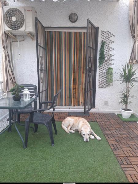 Mi Casita - La Zenia