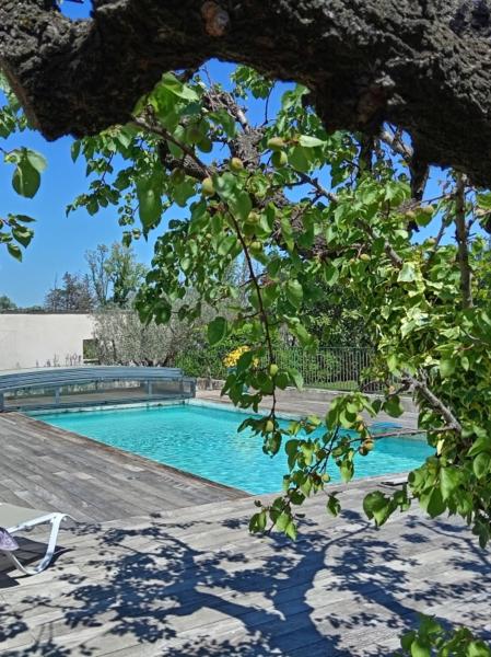 1 Chambre 1 Cuisine & Salle D'eau Privées Avec Piscine Et Jacuzzi - Saint-Rémy-de-Provence