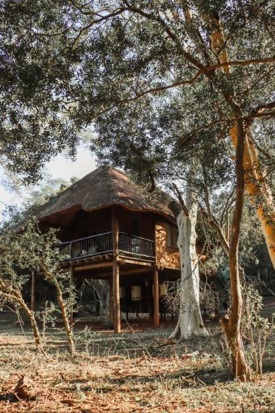 Ubizane Zululand Tree Lodge - Hluhluwe