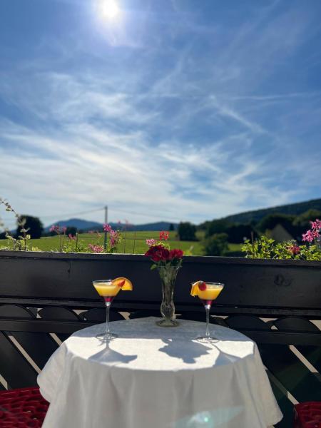 Hôtel L'orée Des Roches - Bas-Rhin