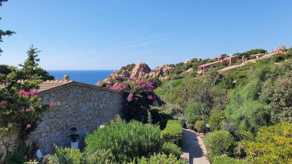 Bougainvilla - Costa Paradiso