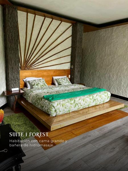 Subtropica Forest Suites - Ecuador
