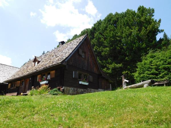 Almhütte ÖDenhübl - Steiermark