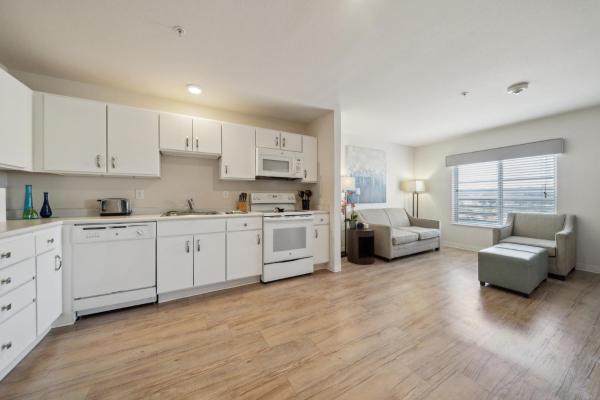 Properties By Preston I 1bd1bth I Pool I Gym - San Antonio
