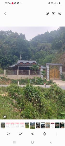 Homestay Cốc Lào - Cao Bang