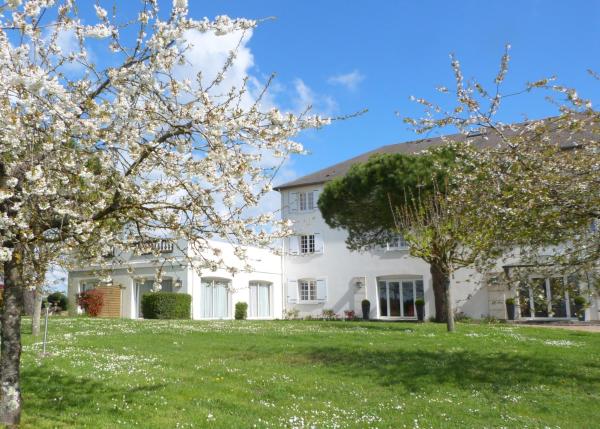 Logis Hôtel Restaurant Des Châteaux - Langeais