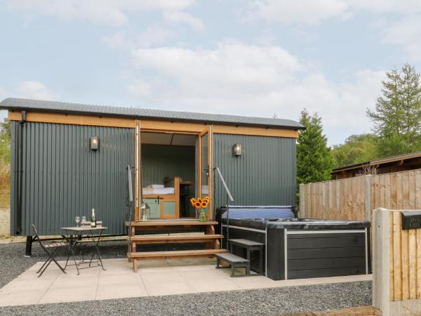 Dam View Shepherds Hut - Rhayader