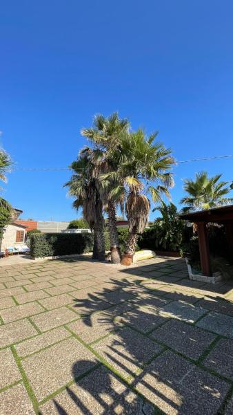 Una Civetta Al Mare - Monopoli