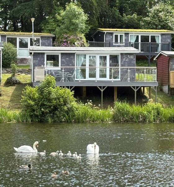 Lakeside Lodge 84 - Anglesey