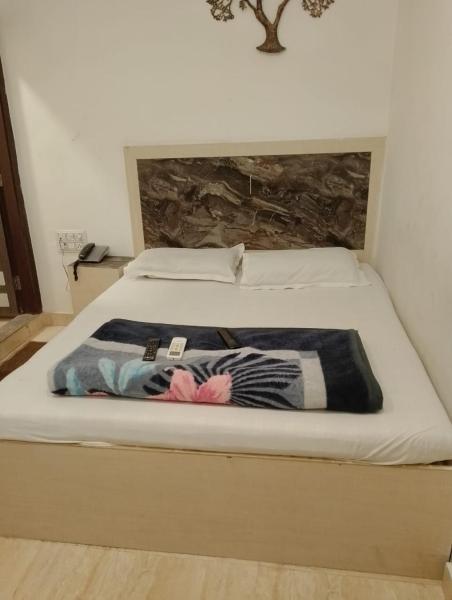 Hotel Raj Guest House - New Delhi