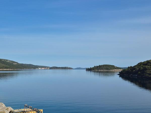 Vidučić Apartments - Dugi otok