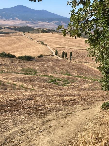Il Tramonto Di Pienza - Pienza
