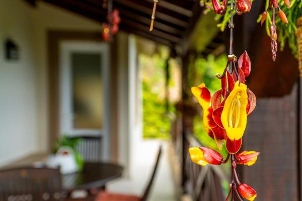 Casa Do Jardim Botanico - Faial