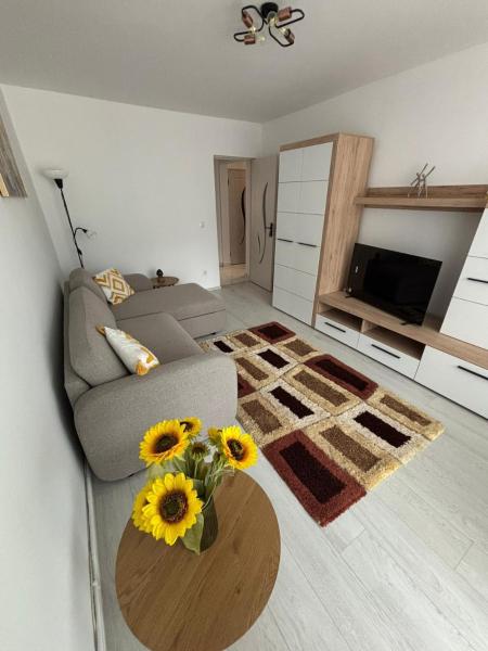 Rh Mures Stay - Târgu Mureș