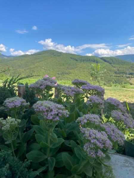 Villa Ma Nana - Monténégro