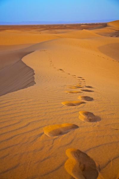 Two And Three Bedroom At Gobajac - Barbados