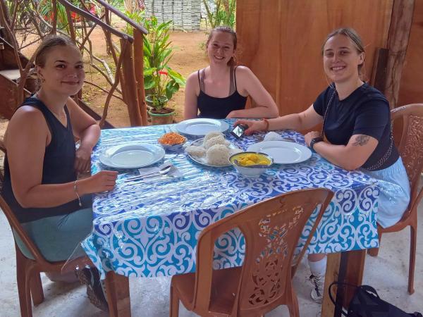 The Travel Tree Hostel - Sri Lanka