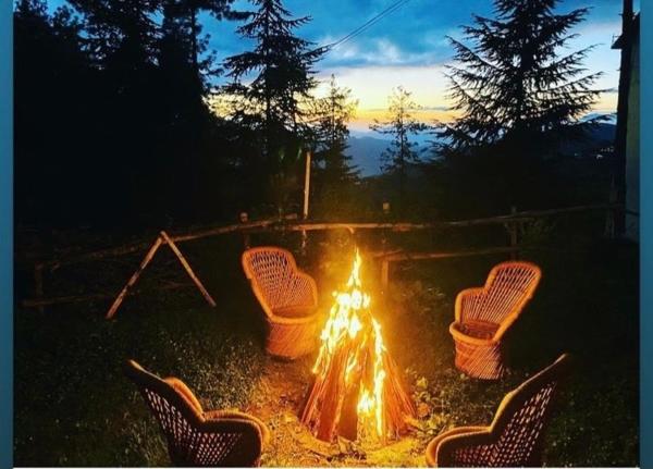 Diwara Resort - Jibhi