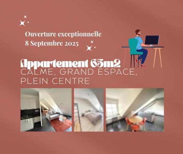 Télétravail Pro - Calme, Grand Espace, Plein Centre - Orléans
