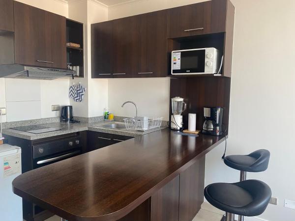 Departamento En Santiago, Ubicación Privilegiada, Wifi - Providencia