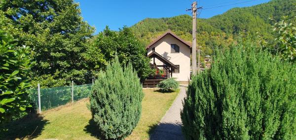 Casa Lotrilor - Malaia
