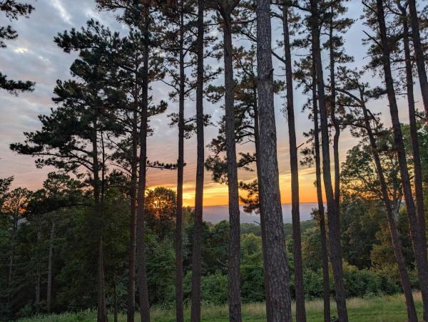 Cabin In The Woods At J And J's - Jasper, AR