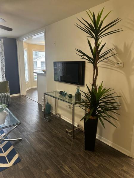 2bed 2bath Apartment - Houston, TX