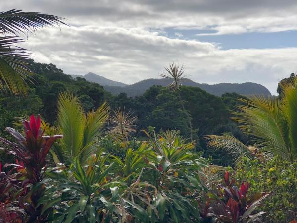 Lilah Blue-entire Home Rustic Rainforest Private - Kuranda