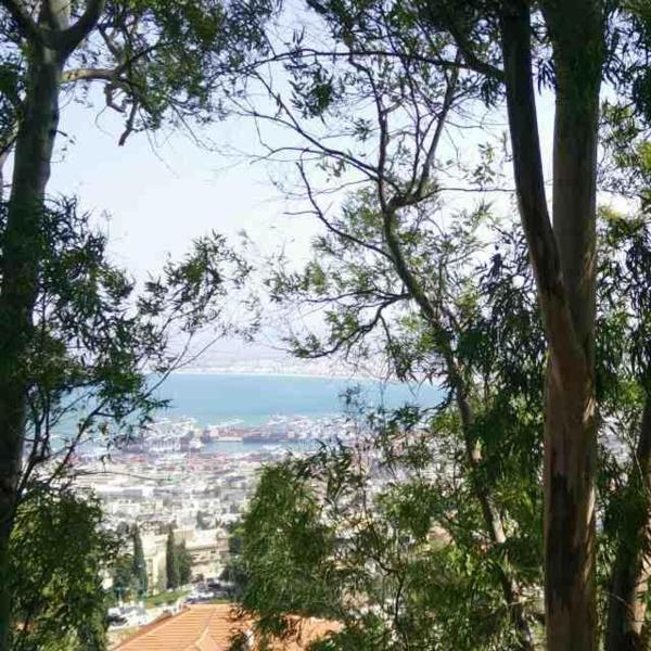 Panorama View Suite Carmel Center - Israel