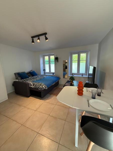Studio Du Lion - Proche Vieille Ville - Belfort