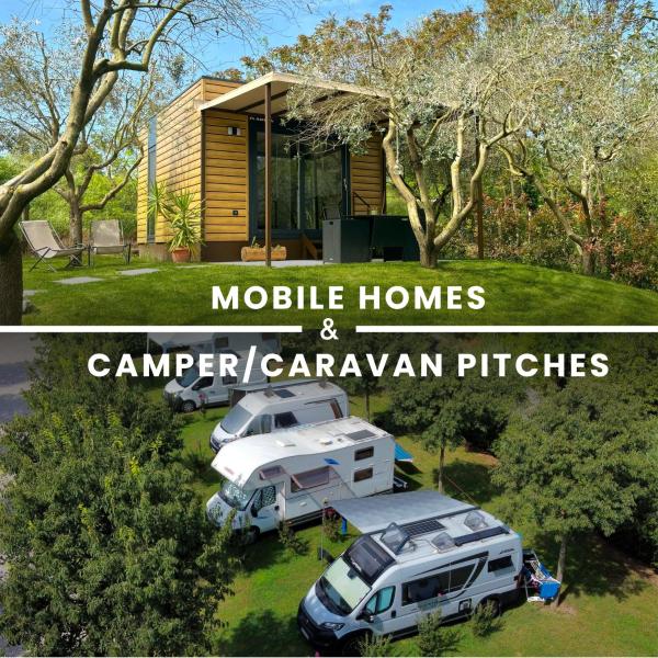 Seregnér Agricamping & Homes - Adults Only 18 - Lake Garda