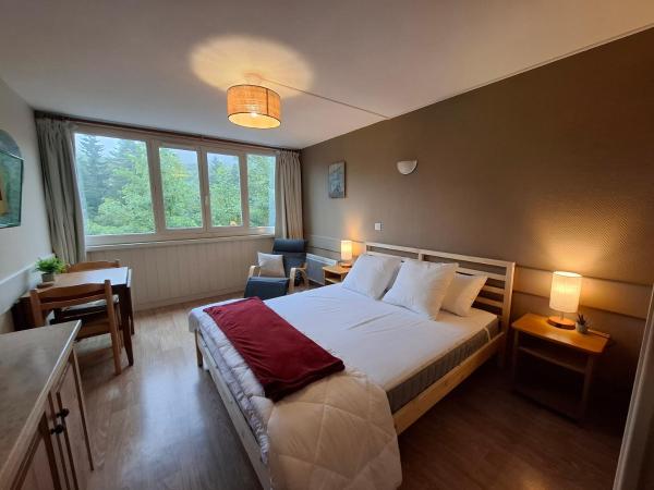 Studio Confortable Lit Queen & Parking Le Lioran - Cantal