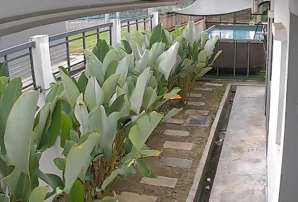Homestay De' Shah Alam - Shah Alam