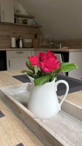 Schöne Moderne Ferienwohnung - Bordelum