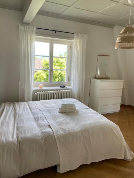 Fantastically Beautiful Old Building Apartment With Lake View - Zurique