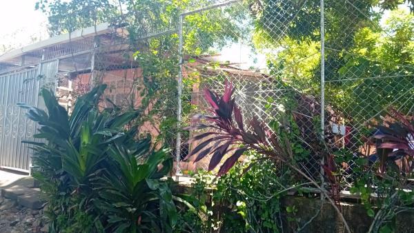 Isi's Guest House - Nicaragua