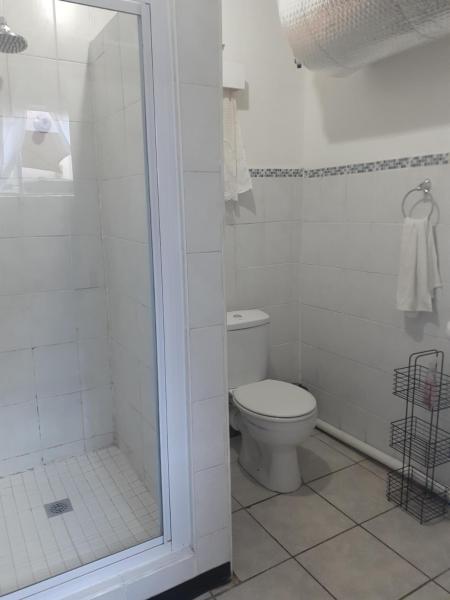 3 Lavenders - 