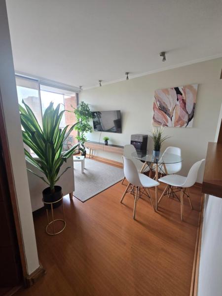 Providencia Hermoso Departamento Con Parcking Y Wifi - Las Condes