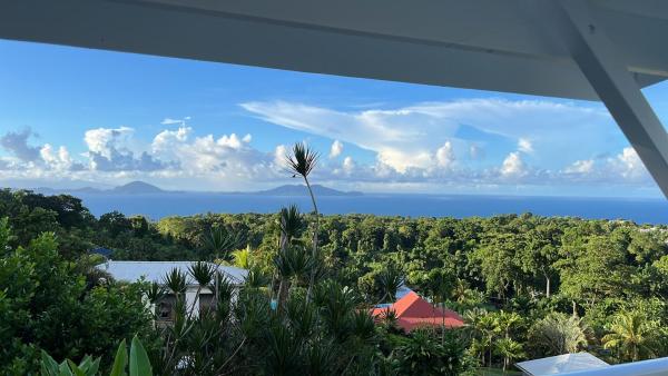 Le Bananier Rouge - Guadeloupe