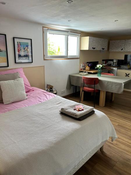 "Jade" Studio Sur Jardin Jacuzzi - Rennes