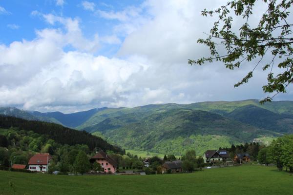 Les 4 Saisons - Gérardmer